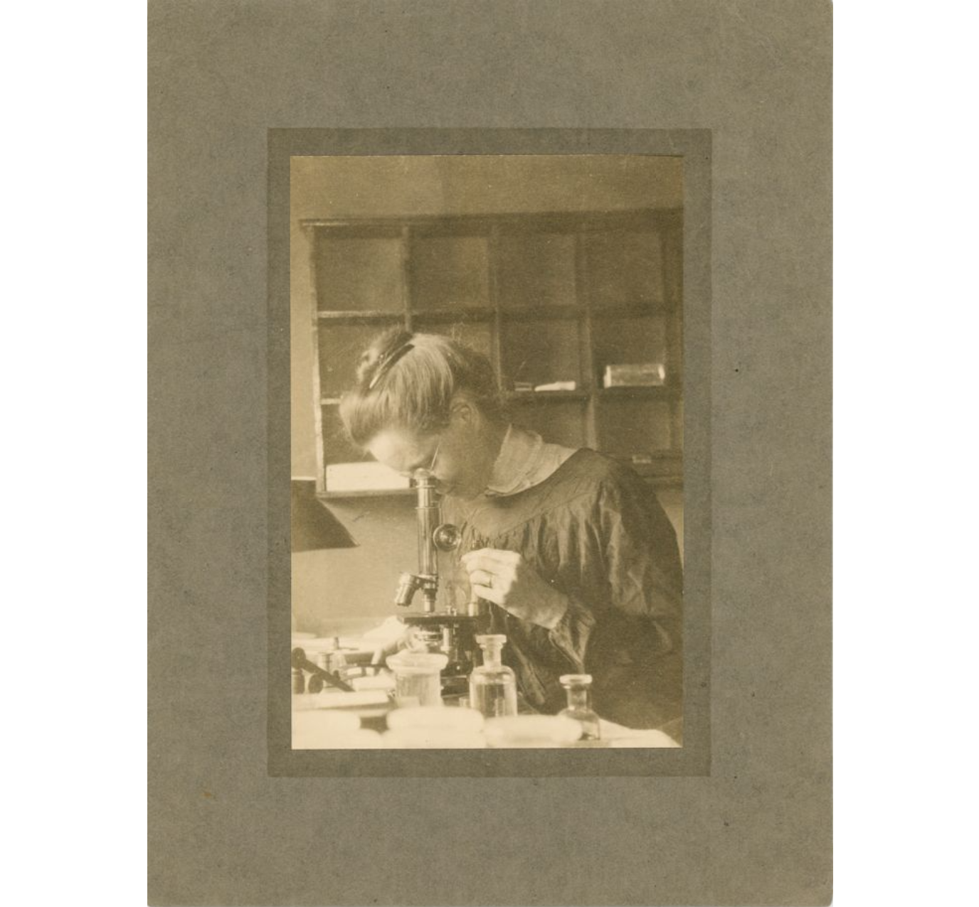Nettie Stevens | National Women's History Museum