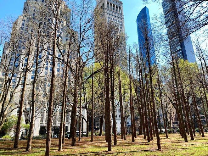 Maya Lin | National Women's History Museum