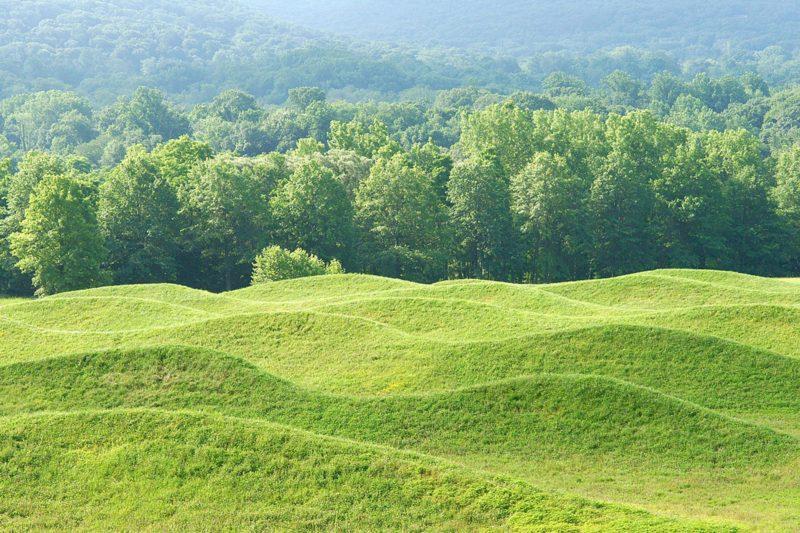 Maya Lin | National Women's History Museum